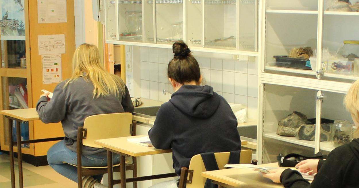 Opiskelu Kaukajärven koulussa [Tampereen kaupunki - Kaukajärven koulu]