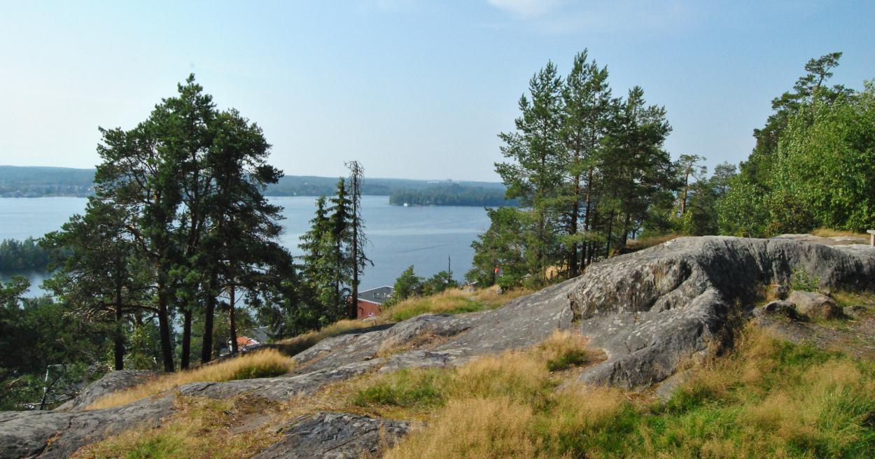 Pyynikin luontopolku [Tampereen kaupunki - Luonto ja ympäristö ...