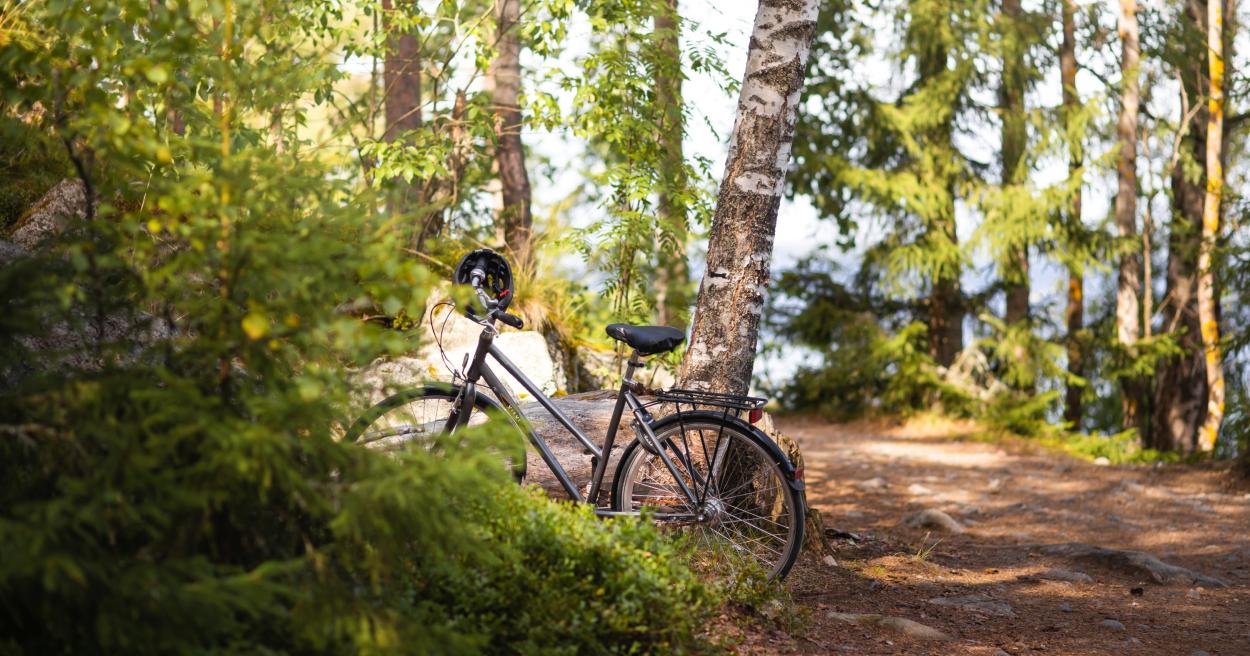 Planning underway for Kauppi–Niihama outdoor recreation services ...